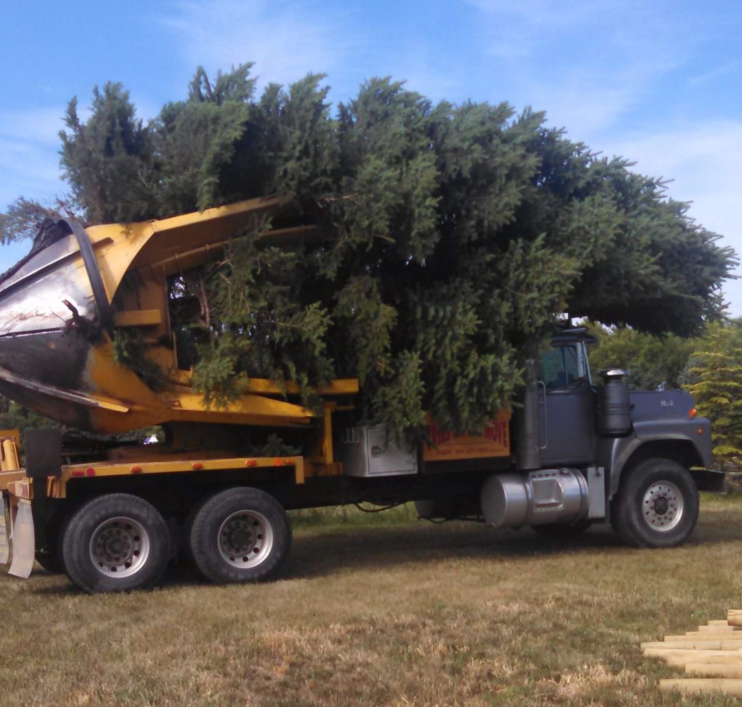 100 inch Tree Spade - Trees On the Move Inc.